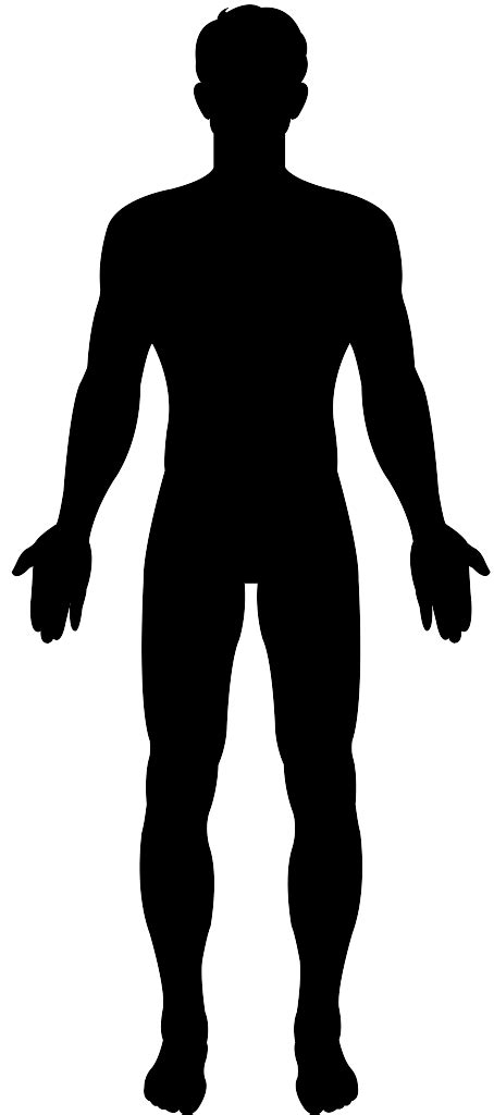 Silhouette männlicher Körper Silhouetten und kontur vektoren