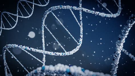 a genetic algorithm for solving quadratic assignment problems qap by ifeoluwa codex medium