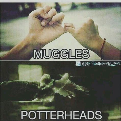 Memes Harry Potter Espa Ol Amino