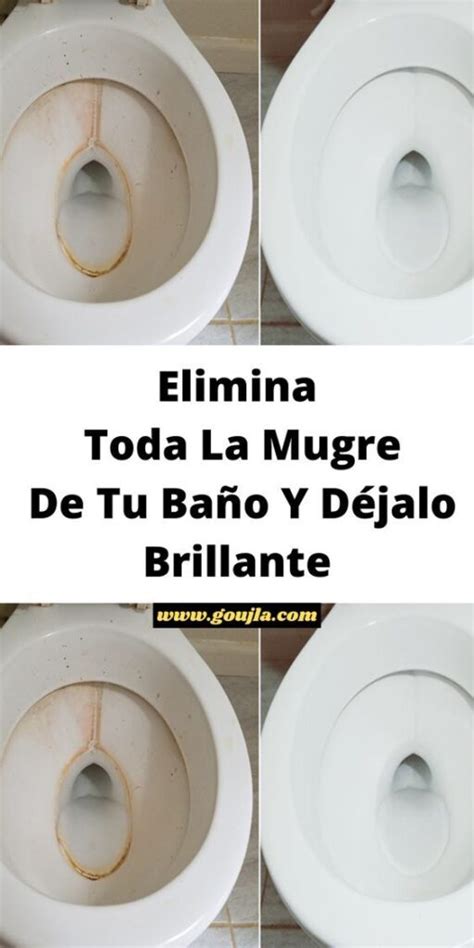 C Mo Limpiar El Fondo Negro Del Inodoro F Cilmente