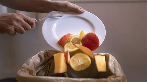 Fao Proporciona Consejos Para Reducir El Desperdicio De Alimentos
