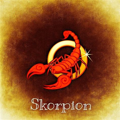 Illustration Gratuite Scorpion Signe Du Zodiaque Image Gratuite Sur