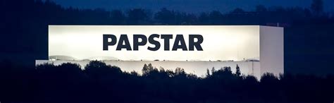 Papstar Fingerfood Schalen Holzschalen Schiffchen 50 Stück aus