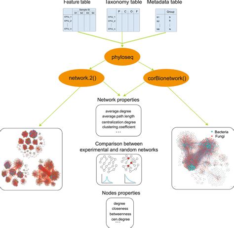 ggclusternet an r package for microbiome network analysis and modularity‐based multiple network