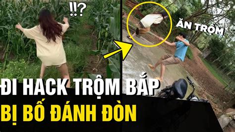 Cô gái đi HACK TRỘM BẮP nhà hàng xóm Về đến nhà bị bố VÁC CHỔI ĐÁNH