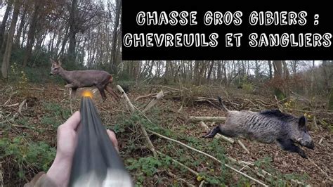 Chasse Aux Gros Gibiers Chevreuils Et Sangliers YouTube