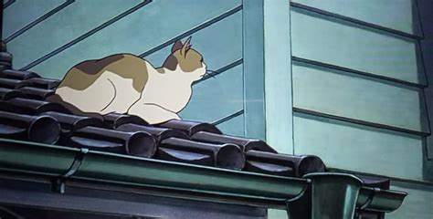 El regreso del gato Haru en el reino de los gatos 猫の恩返し The cat returns