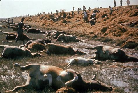 Los Desastres Naturales M S Mort Feros De La Historia Cacheuta Digital