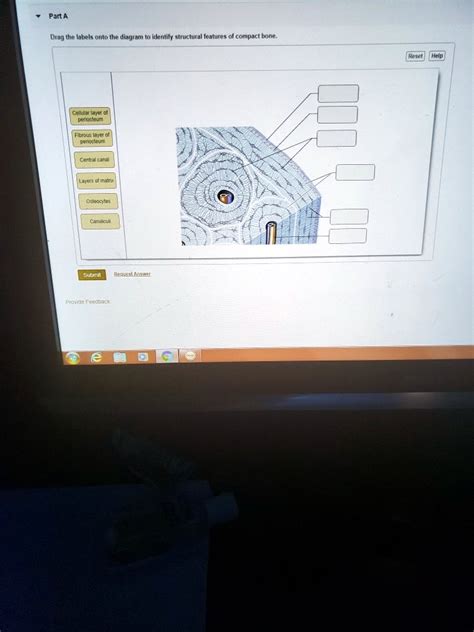 SOLVED PartA Drag The Labels Onto The Diagram To Identify Structural