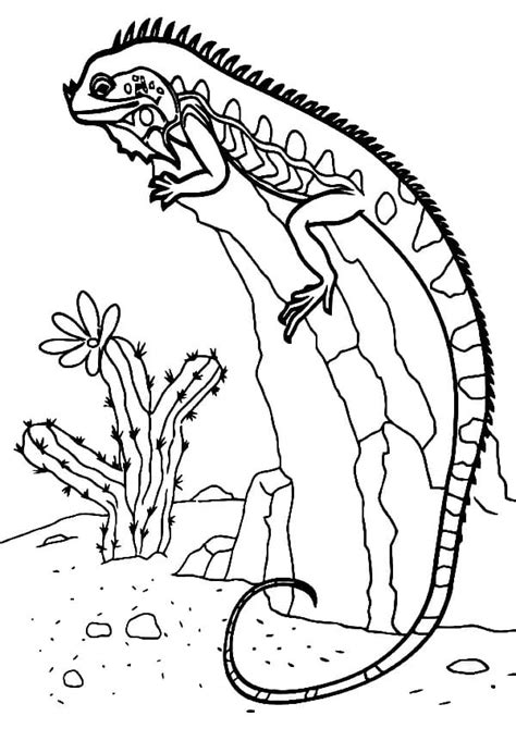 Coloriage Lézard à imprimer sur ColoriageEnfant