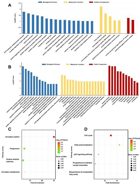 Gene Ontology GO Annotation And KEGG Pathway Analysis N 4 Per