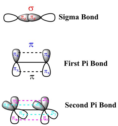 Solved Sketch Sigma And Pi Bond From P Orbital Course Hero
