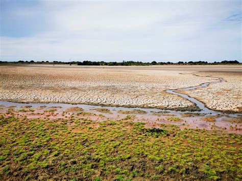 La sequía y la sobreexplotación de los acuíferos secan la última laguna