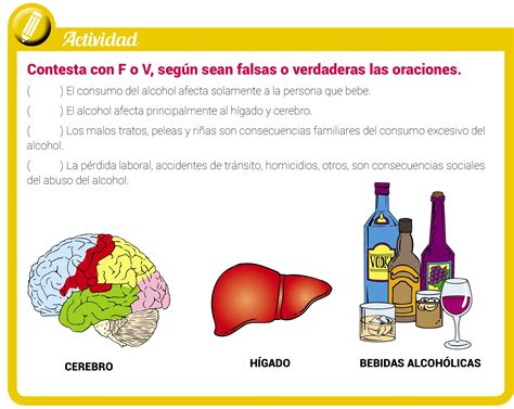 Unos Pocos Radiador Maduro Efectos Del Alcohol Sobre El Higado Tren