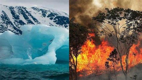 La emergencia climática ya fue declarada oficial por más de 11 mil