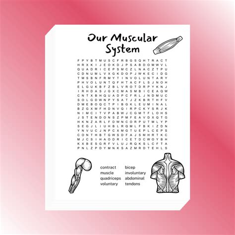 Muscular System Word Search Word Search Boss