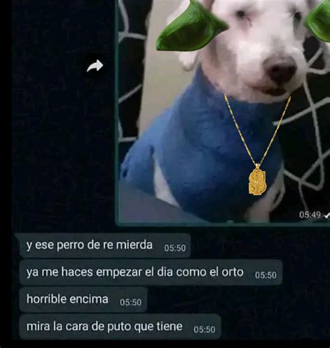 Perro Meme Subido Por Mariofandomxd Memedroid