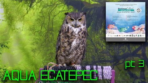 Aqua Ecatepec Evento De Fauna En Ecatepec Los Animlaes M S