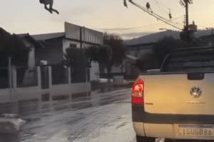 Ovelha Fica Pendurada Em Fia O Ap S Ciclone Em Cidade Do Rs