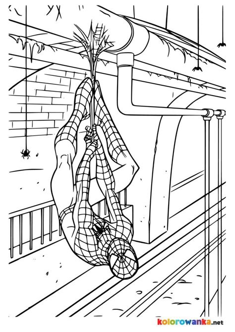 Spiderman Kolorowanka Do Druku Kolorowanki Do Druku