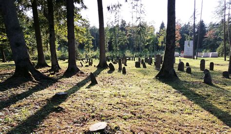 Vandziogala Jewish Cemetery Esjf Surveys
