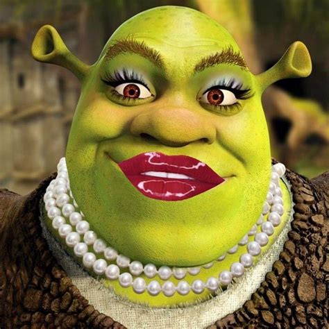 First Selfie Shrek Funny Shrek Memes Shrek
