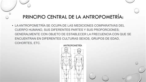 Antropometria Y Ergonomia PPT