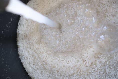 Quels Sont Les Pays Les Plus Grands Producteurs De Riz Escale De Nuit