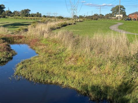 Epping Waterway Loop Darebin Creek And Findons Creek Walking Maps