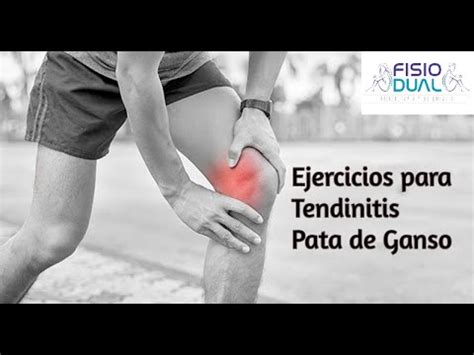 Ejercicios Para TENDINITIS PATA DE GANSO YouTube