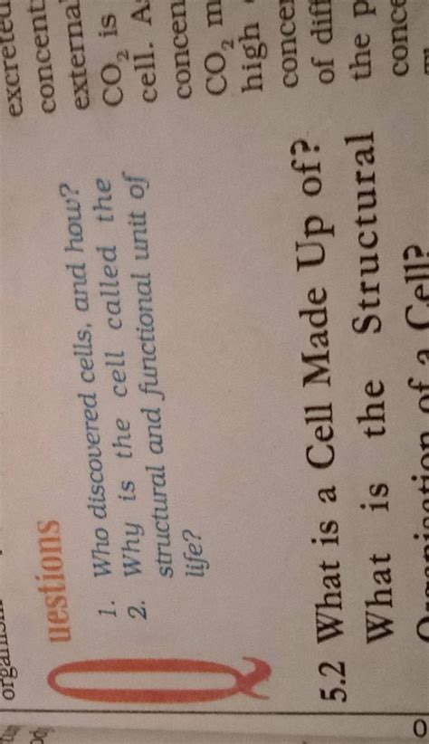 Uestions Who Discovered Cells And How Why Is The Cell Called The