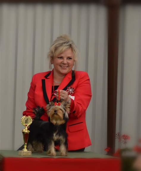 Yorhshire Terrier Kennel Bon Chillero
