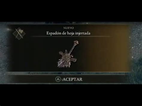 Espadón de hoja injertada Cómo conseguirla YouTube