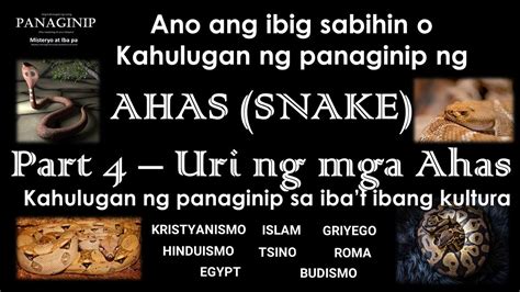 Kahulugan Ng Panaginip Na Ahas Snake Part 4 Ano Ang Ibig Sabihin