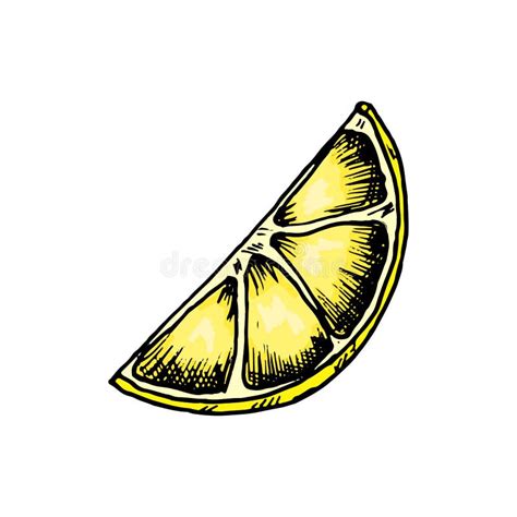 Lemon Slice In Doodle Style Hand Drawn Vector Lemon Wedge Sketch Icon