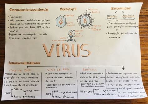 Mapas Mentais Sobre V Rus Study Maps Mapa Mental Terminologias De