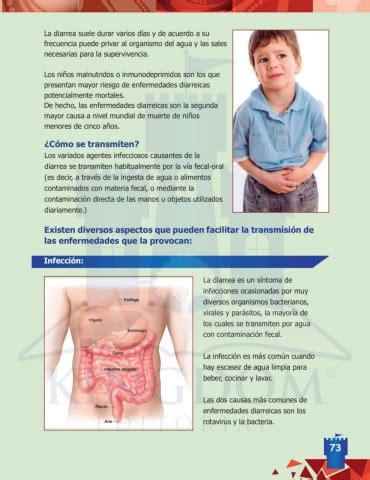 CIENCIAS NATURALES 7mo Grado 1 Kingdom Editorial Página 75 Flip