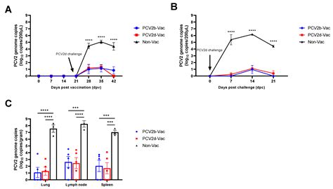 Vaccines Free Full Text Pathological Evaluation Of Porcine