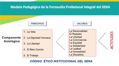 Modelo Pedagógico de la Formación Profesional Integral YouTube