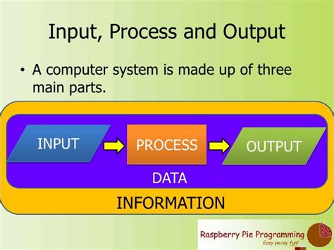 computer systems input process output