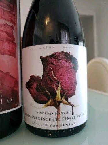 Atelier Tormentas Rosa Evanescente Pinot Noir Vivino Danmark
