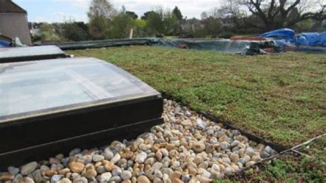 Can Green Roofs Help To Reduce Your Carbon Footprint Wallbarn