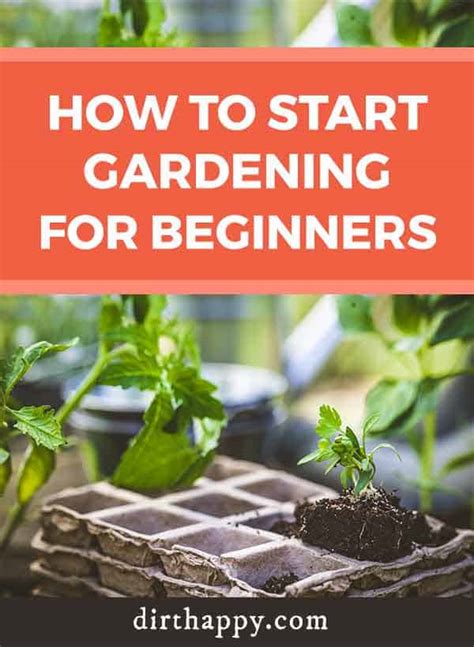 How To Start A Garden In Steps As A Beginner Dirthappy