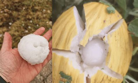 Maltempo Piega La Puglia Grandine Come Palle Da Tennis Distrugge