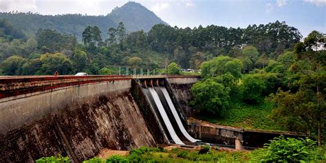 Places To Visit In Munnar Munnar Tourism