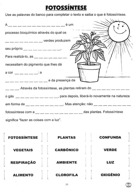 Escola Saber Atividades sobre plantas educação infantil