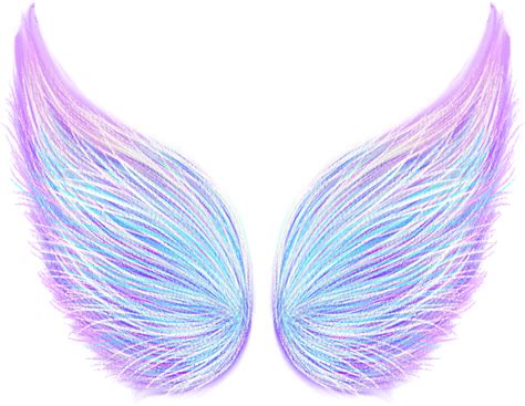 Voar Vestir Se Asas De Cor Fantasia PNG Asa Sonhe Pluma Imagem