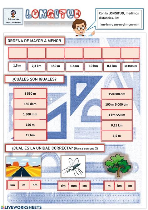 Medidas De Longitud Ficha Interactiva Fichas De Matematicas