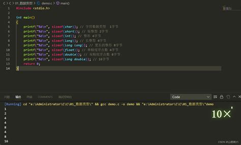 【初识c语言】数据类型 csdn博客