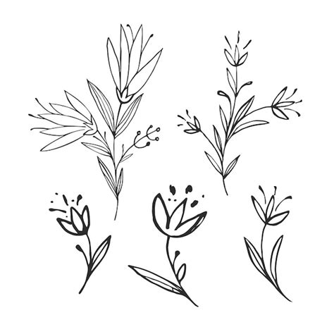 Premium Vector Hand Drawn Flower And Branches Doodle Vector Illustration